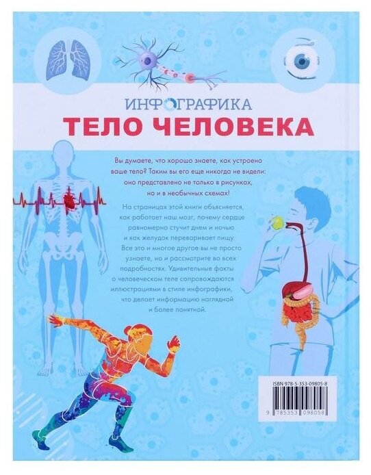 Тело человека. Инфографика (Петтмэн К.), (Росмэн/Росмэн-Пресс, 2021), 7Б, c.128 ()
