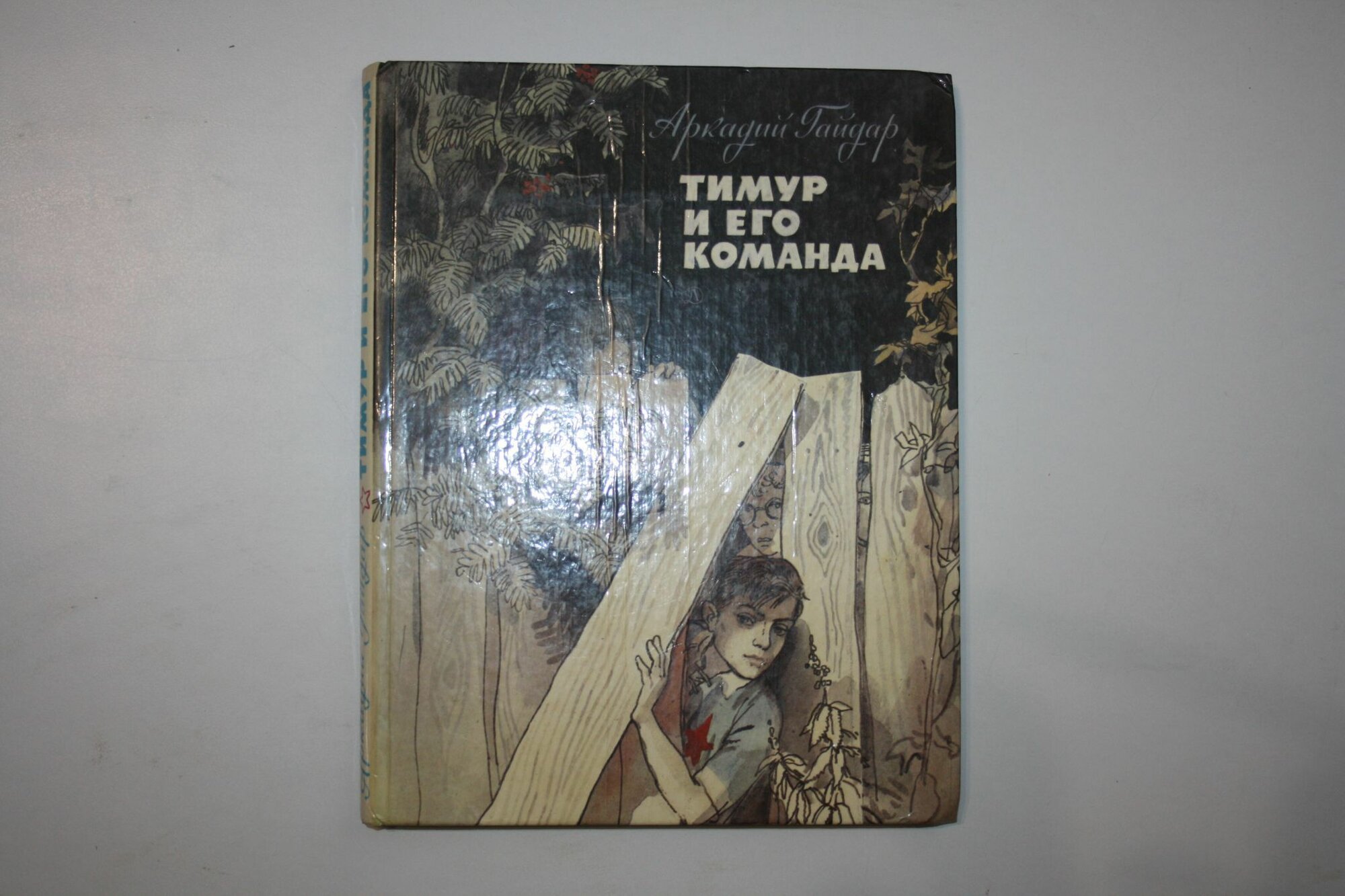 Тимур и его команда. Повесть