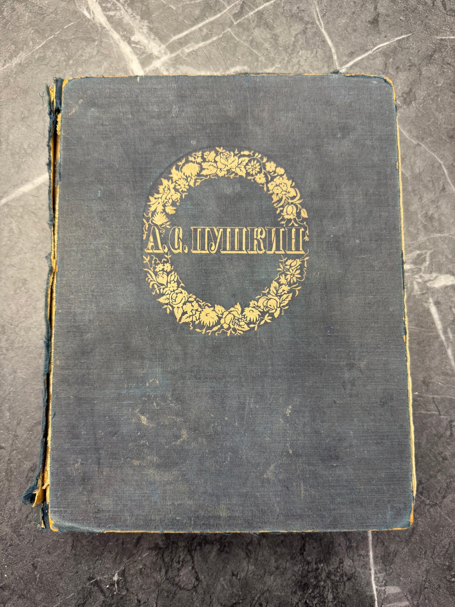 Книга Пушкин