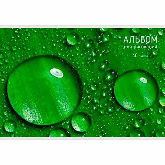 Альбом для рисования ЭКСМО "Nature" на скобе, меловый картон, твин лак, бумага офсет 110 г/м2, 40 листов (А2Л402339)