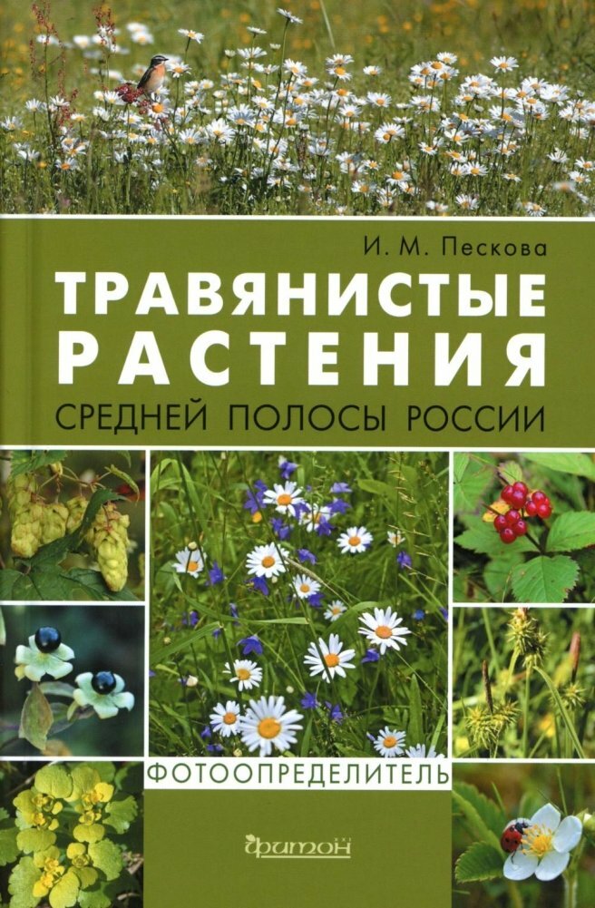 Книга Фитон XXI Травянистые растения средней полосы России. Фотоопределитель, Пескова И, 2024 год