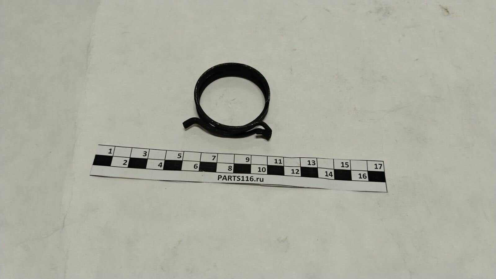 Хомут пружинный FBS 50/12 NORMA (FBS 50/12)