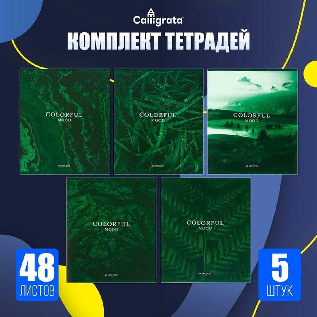 Комплект тетрадей Calligrata "Изумруд", 48 листов в клетку, 5 штук