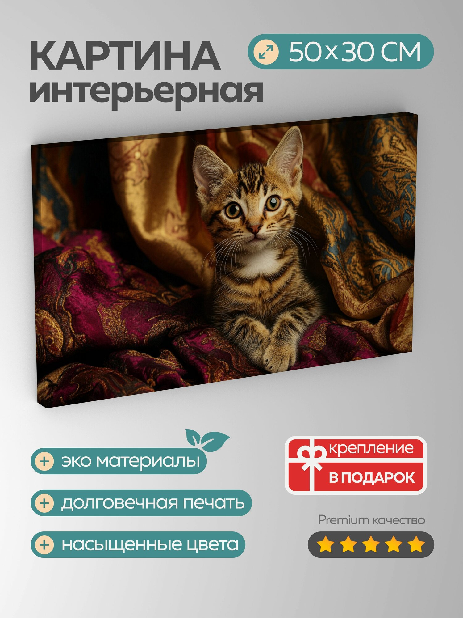 Картина на холсте интерьерная 50х30 см, Котенок, уникальная шерсть, красивые цвета, богатые ткани, драгоценные камни, f