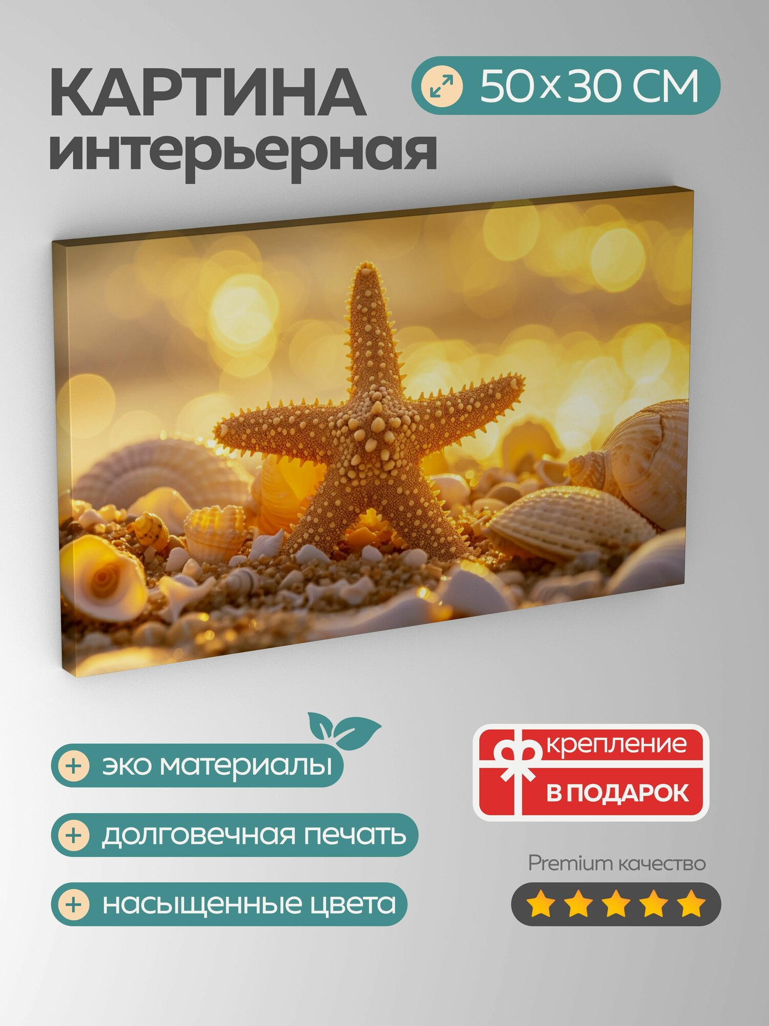 Картина на холсте интерьерная 50х30 см, фотография, морская звезда, ракушки, побережье, свет, солнце, текстура, детали