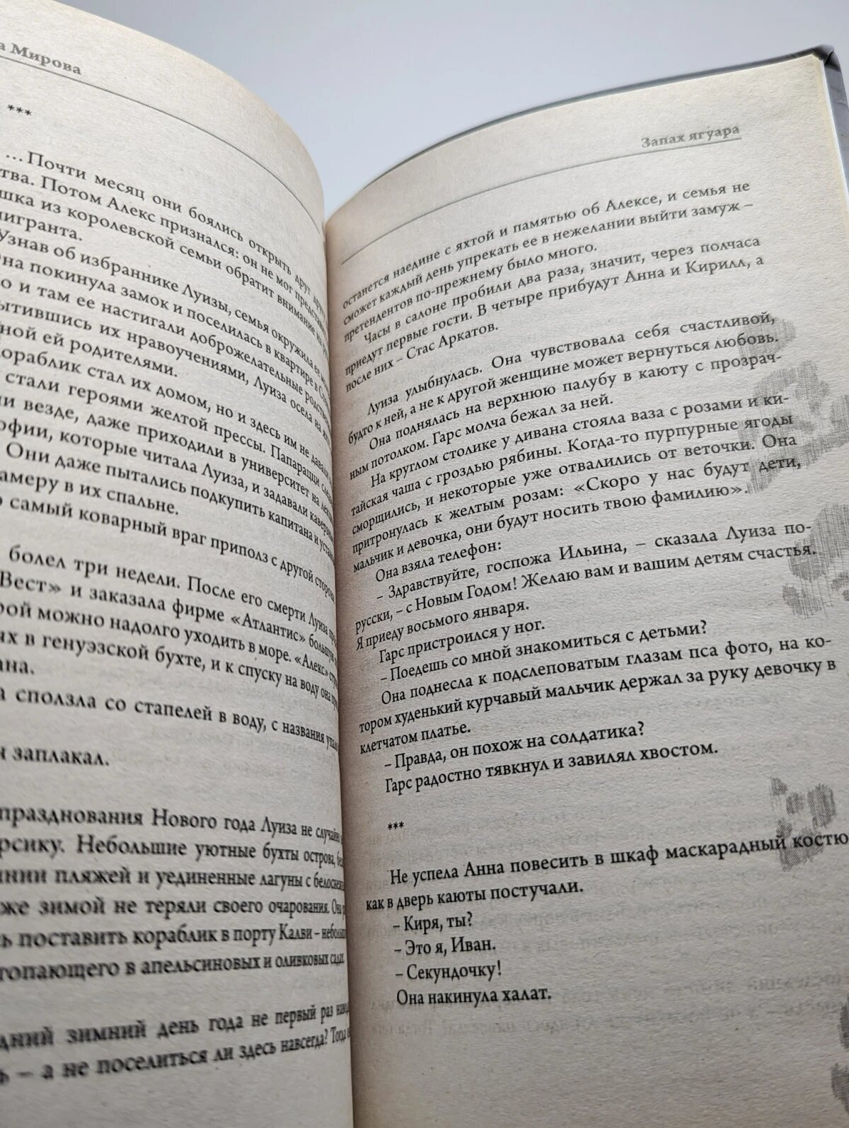 Запах ягуара — фото 1