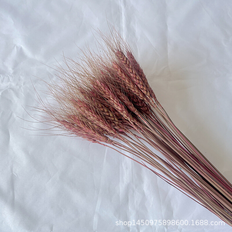 Пучок пшеничных колосьев, 50 палочек, темно-коричневый, красный