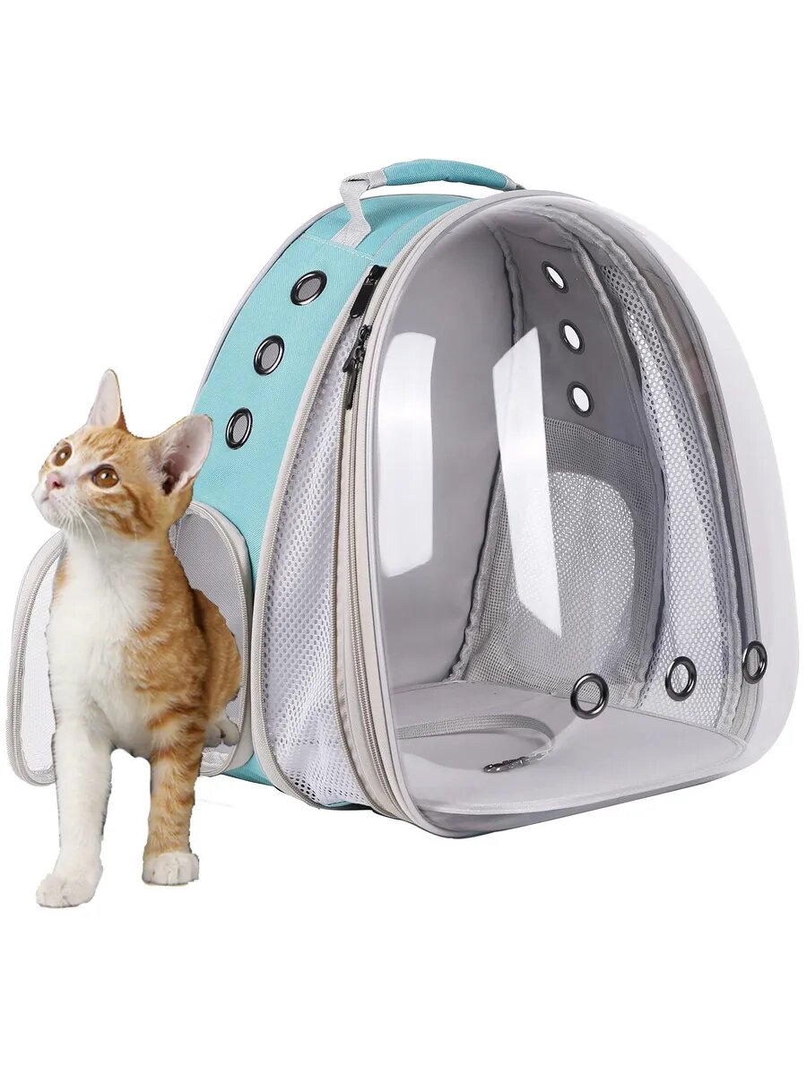 Рюкзак для домашних животных для большой жирной кошки 9 кг, рюкзак для несения маленьких собак, прозрачное переднее окно