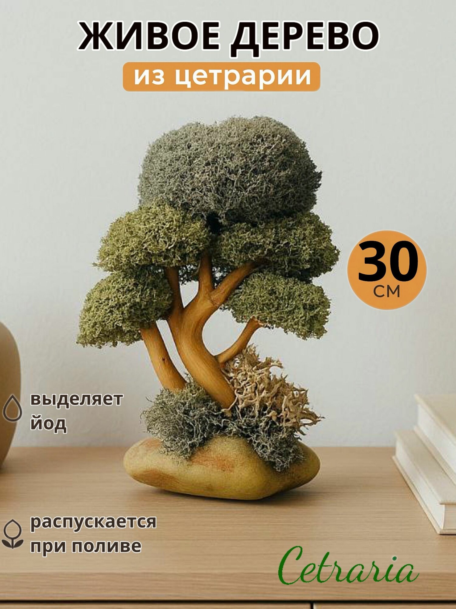 Дерево с кронами из цетрарии на камнях / Полезное украшение интерьера
