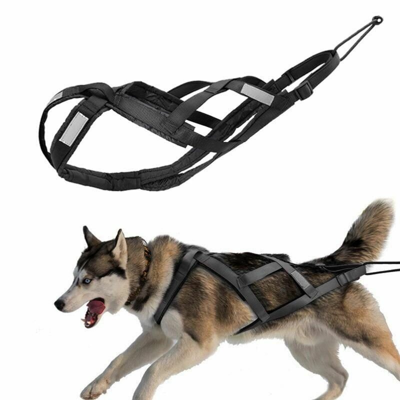 Большой нагрудный ремень для собачьих упряжек на открытом воздухе, подходит для катания на собачьих упряжках