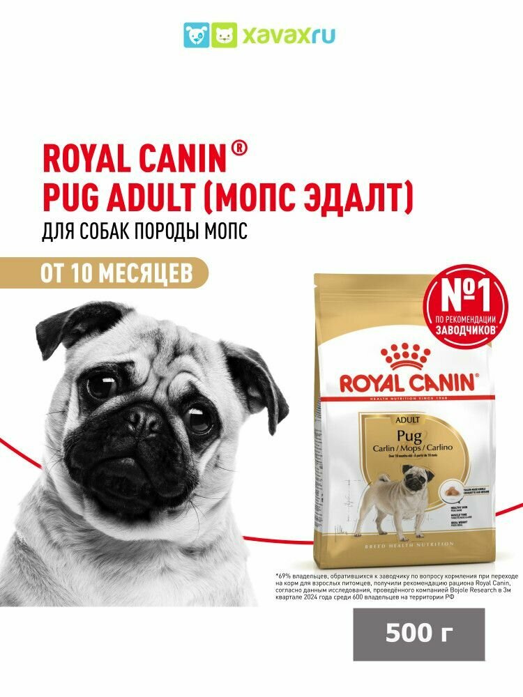 Сухой корм Royal Canin Pug Adult для взрослых собак породы Мопс от 10 месяцев, 500 г