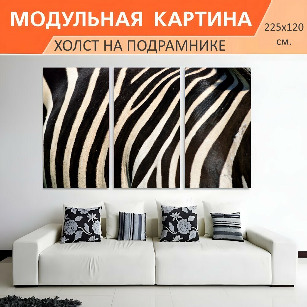 Модульная картина на холсте "Zebra fur background Зебра черно-белые полоски меха Зебра животное дикая природа черный белый полосы." триптих на подрамнике 225х120 см. для интерьера