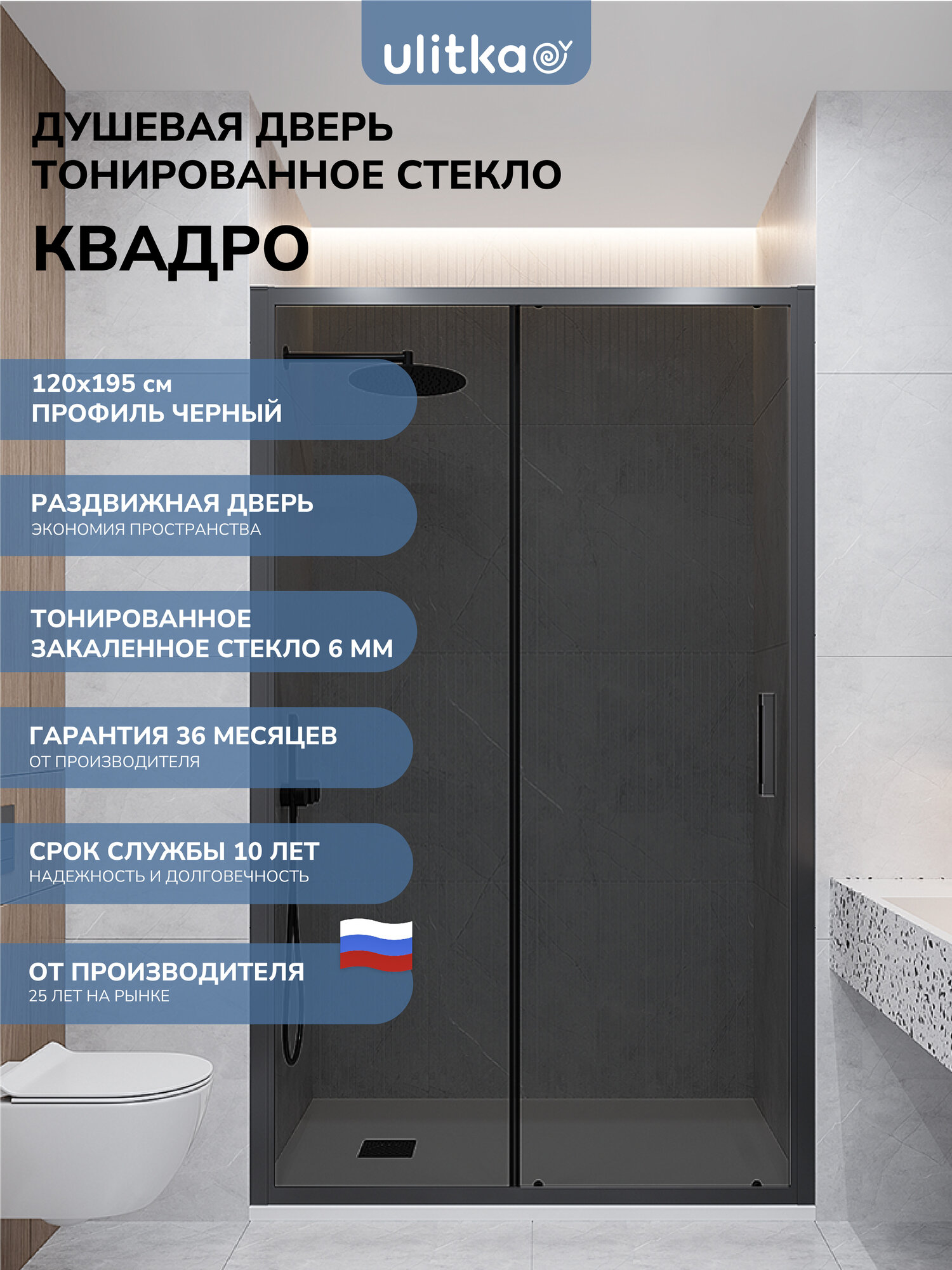 Душевая дверь в нишу 120х195 см. Квадро стекло тонированное, профиль черный