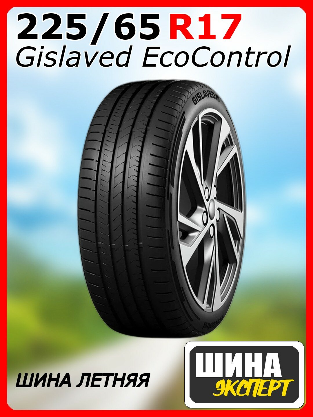 Шина летняя Gislaved 225/65/17 H 102 EcoControl для легковых автомобилей 16100120319