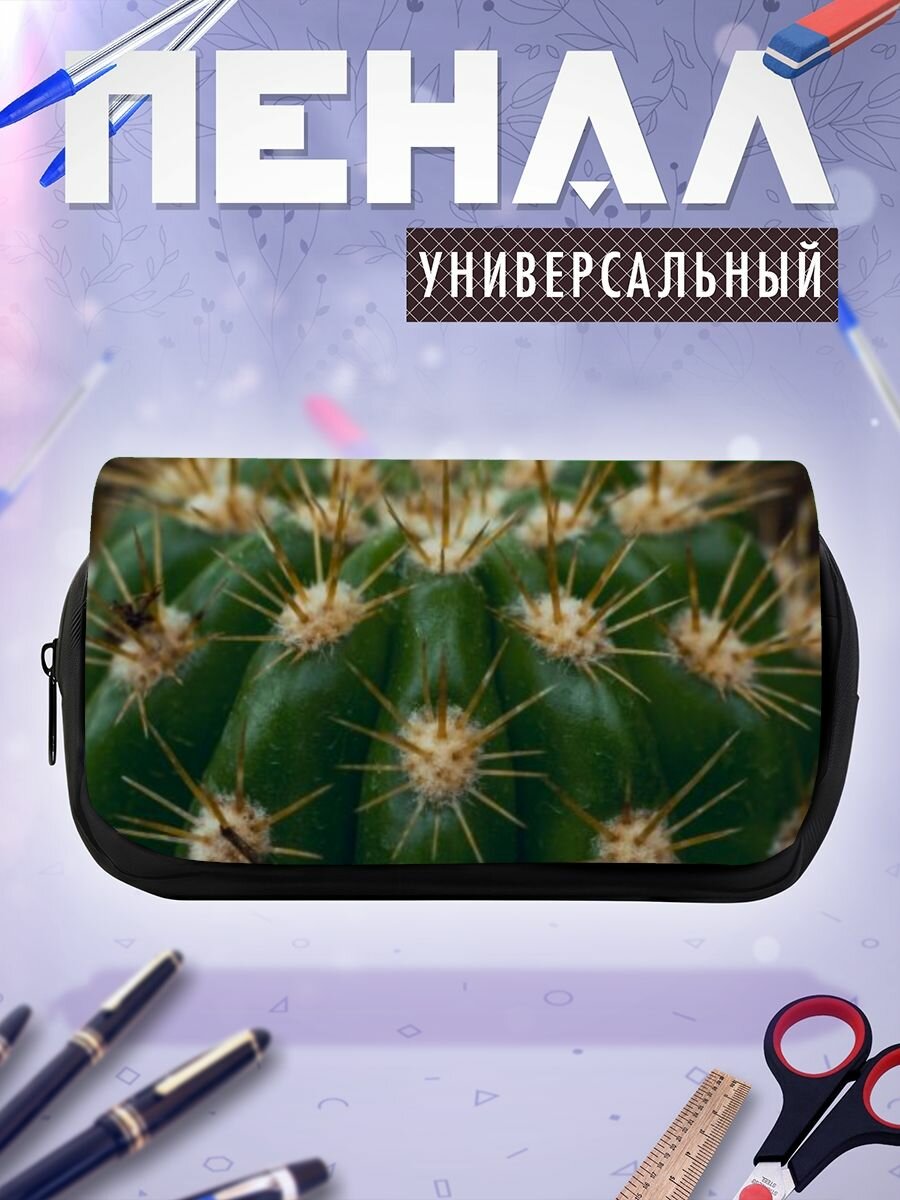 Пенал косметичка кактус Сан-Педро кактус
