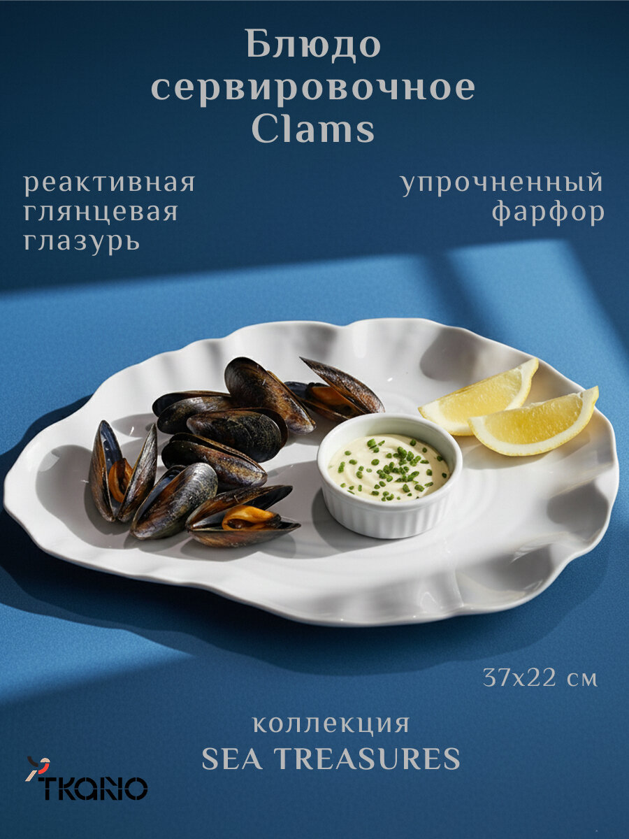 Блюдо сервировочное Clams овальное для подачи серого цвета Sea treasures фарфоровое Tkano TK25-TW_SRV0006