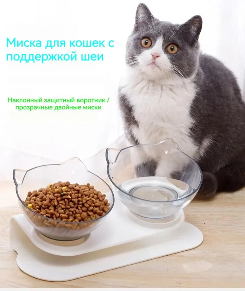 Чаша для животных — фото 1