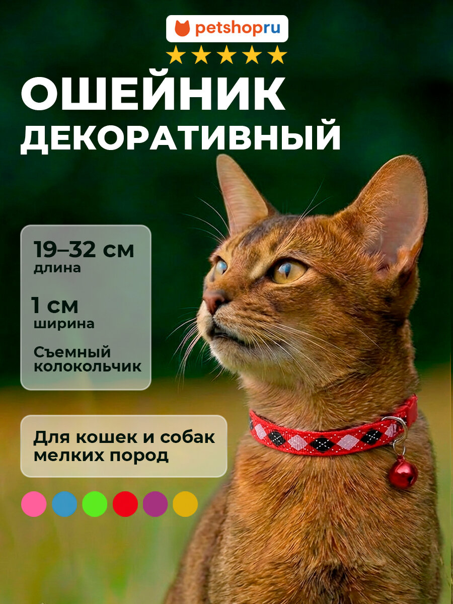 PETSHOP Ошейник для кошек и собак "Зорик", 19-32*1 см