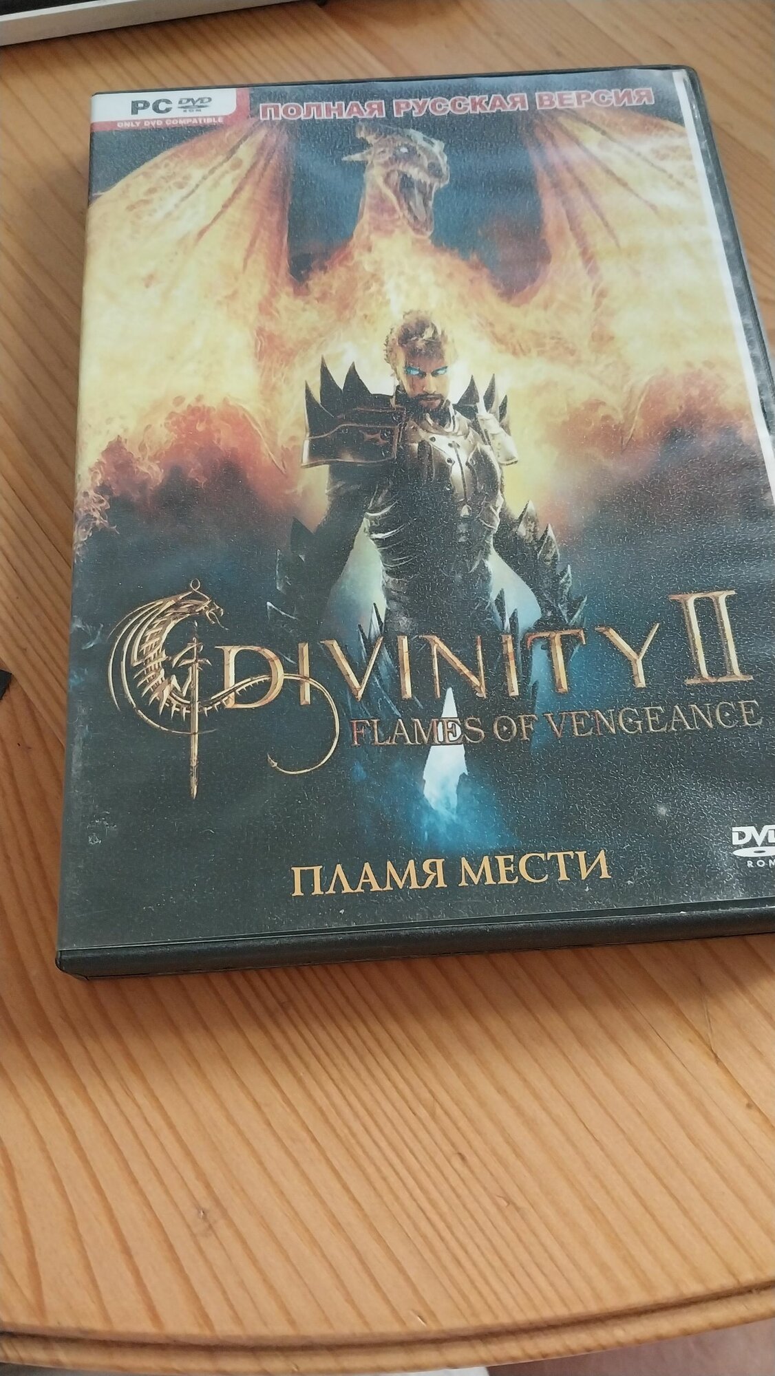 Divinity 2 пламя мести 12