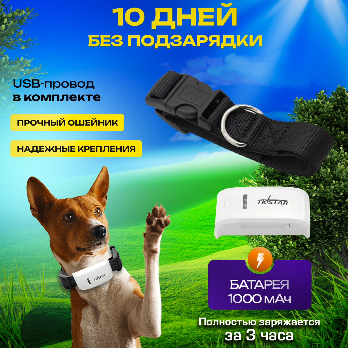 GPS Ошейник Кот Бегемот TK-909 TK-STAR, для собак, функция GPS, чёрный — фото 1