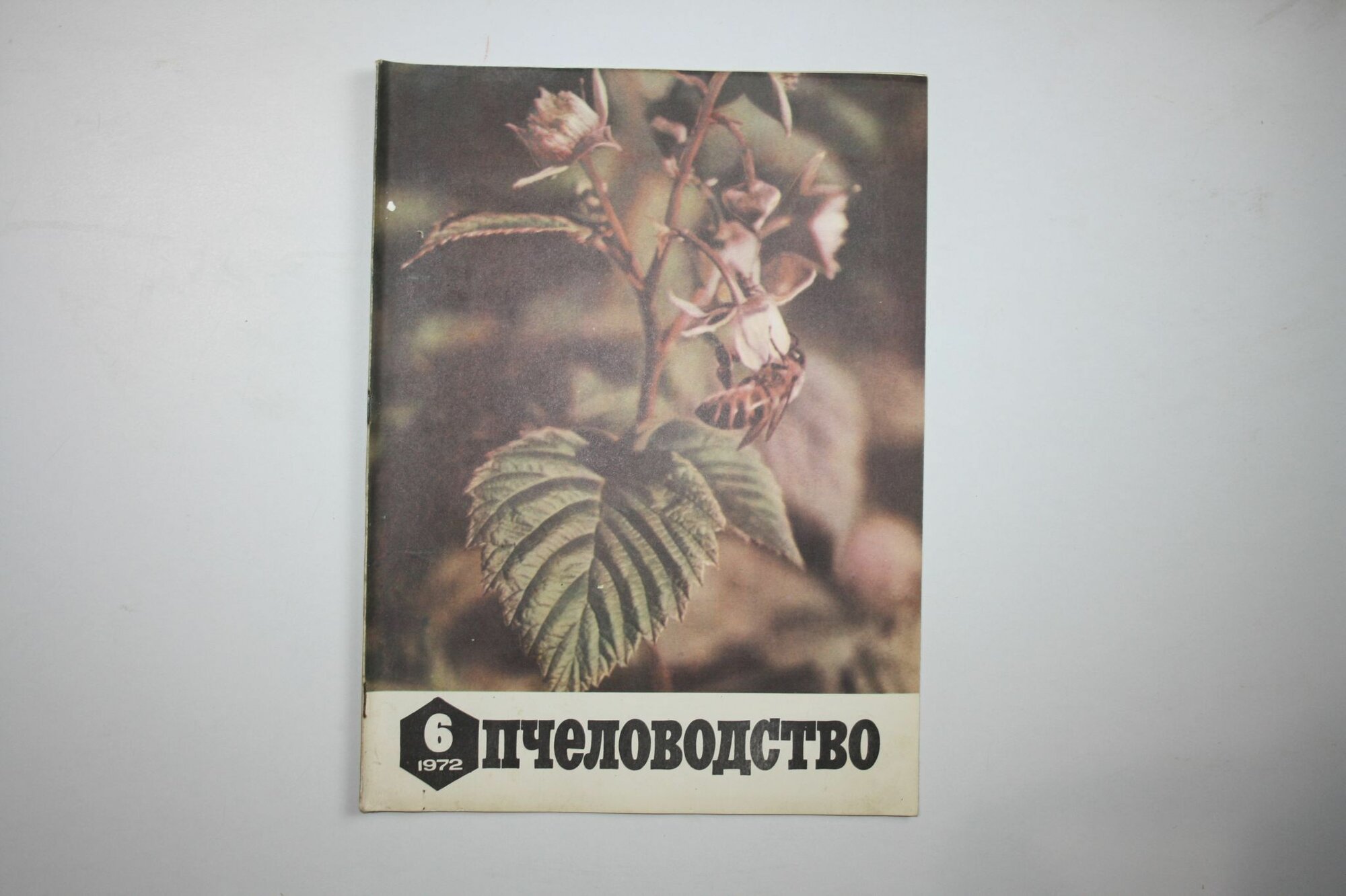 Журнал Пчеловодство № 6, 1972