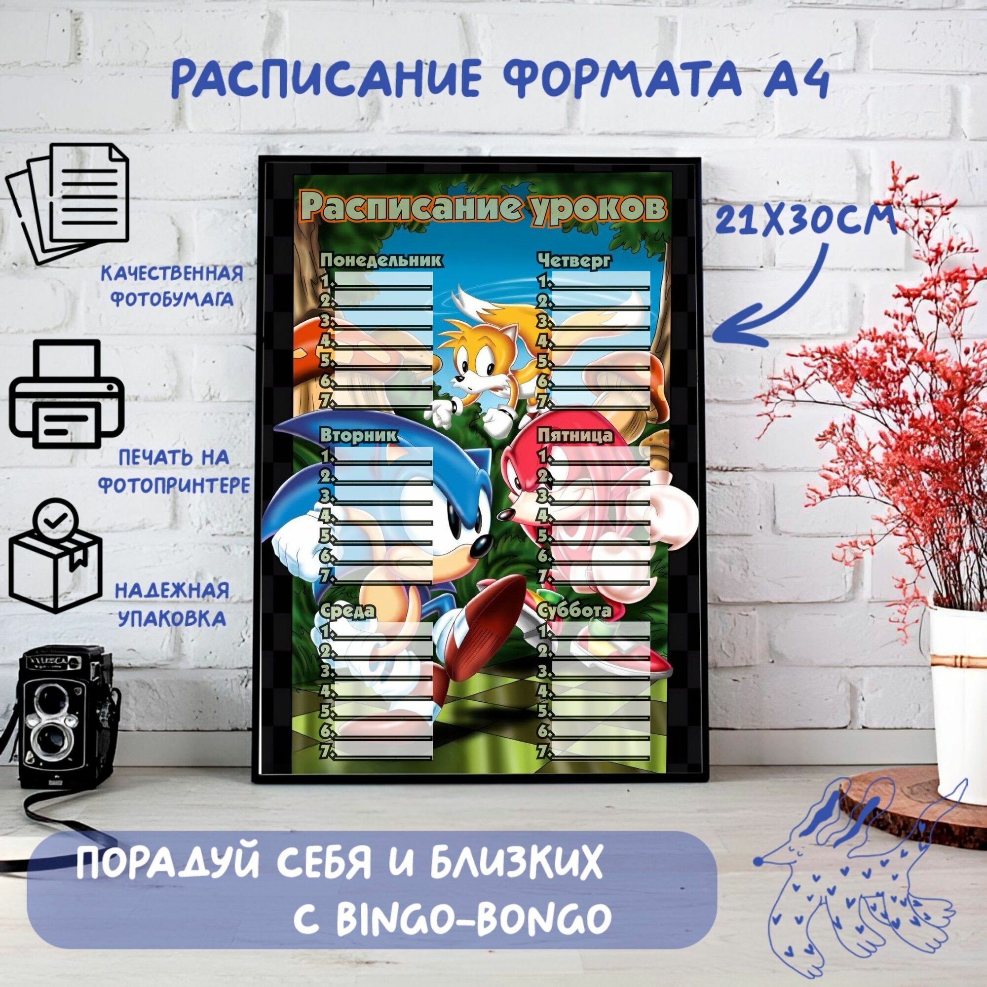 Расписание уроков формата А4, с принтом Соник
