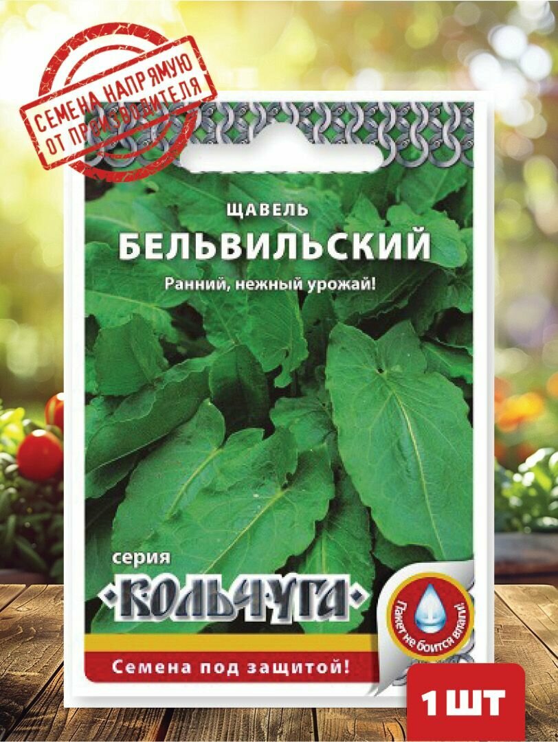 Семена растения Щавель Бельвильский "Кольчуга"