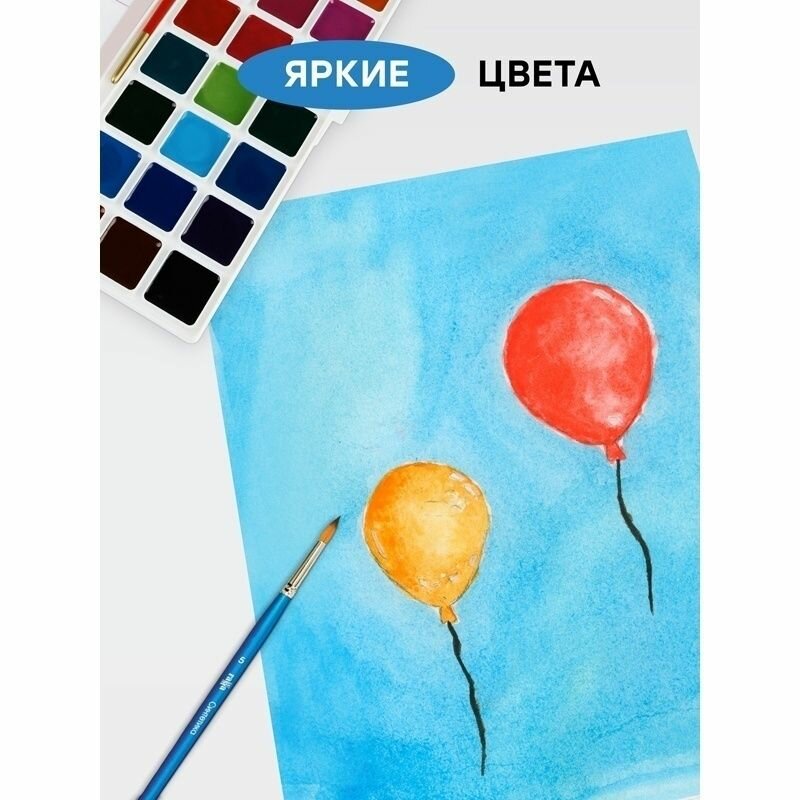 Краски акварельные Гамма "Классическая", 24 цвета, медовая, без кисти (216021)