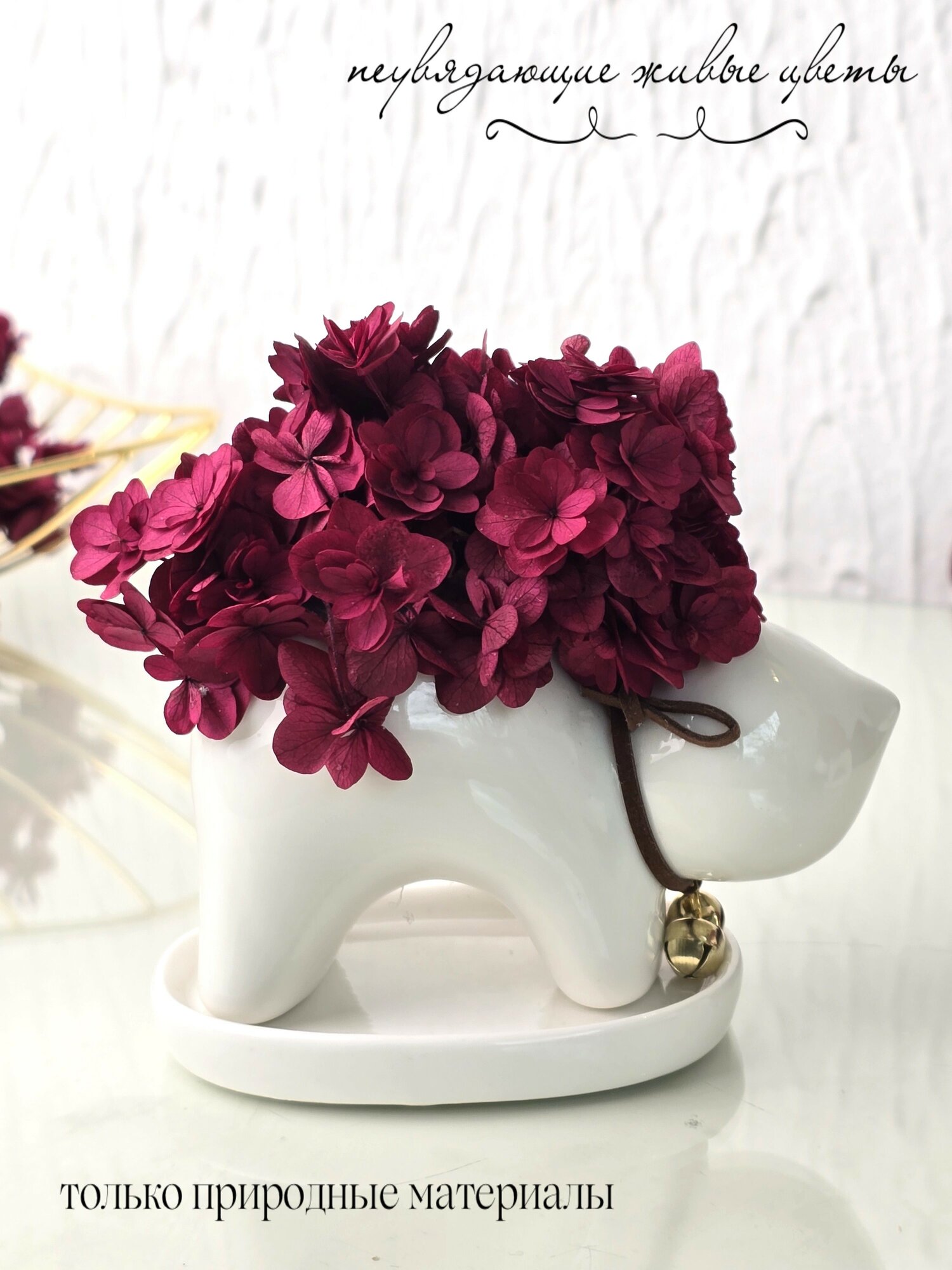 Керамическое кашпо со стабилизированной гортензией, "Котенок" / интерьерный букет