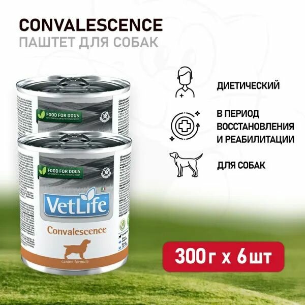 Farmina Vet Life Natural Diet Convalescence 300 г х 6 шт влажный диетический корм для взрослых собак в период выздоровления и реабилитации, паштет в консервах