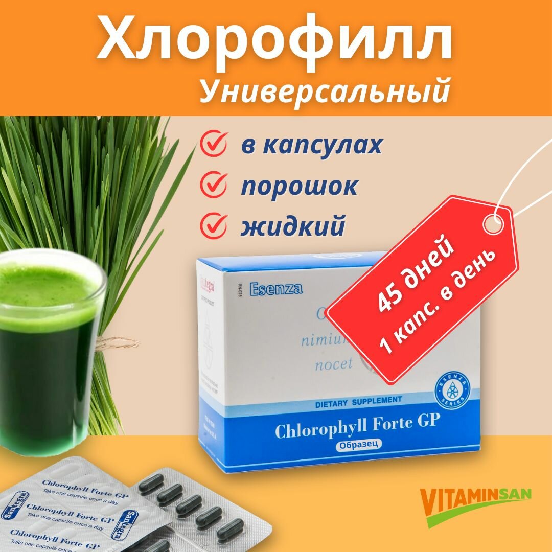 Chlorophyll Forte Santegra(Сантегра), Хлорофилл Форте, природный антисептик, улучшает пищеварение, укрепит иммунитет, жидкий хлорофилл в капсулах 50 мг, 45 капсул на 45 дней