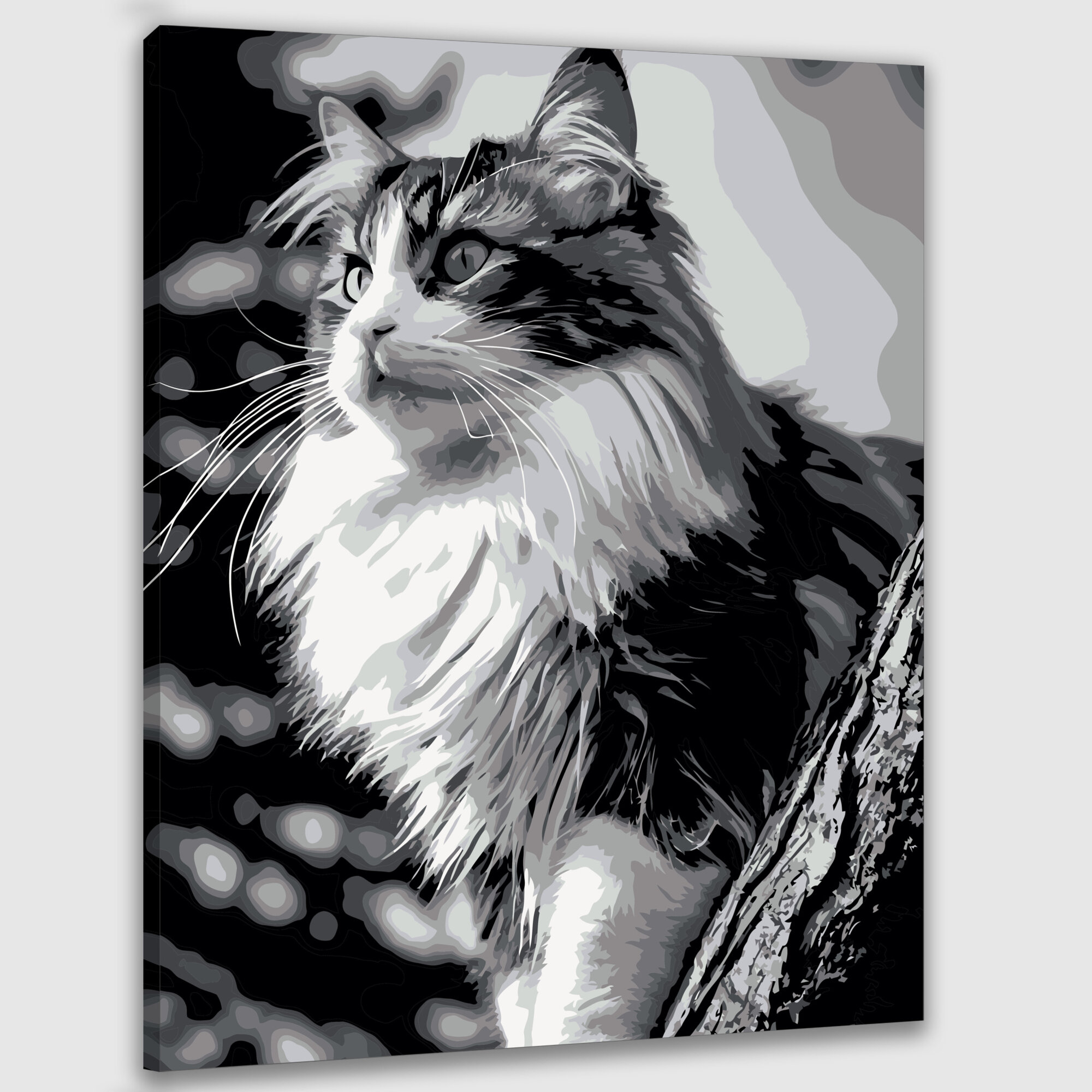 Картина по номерам 40x50 см, Черно-белая фотография, мейн-кун, кошка, мускулистое тело, позирование, ветка дерева