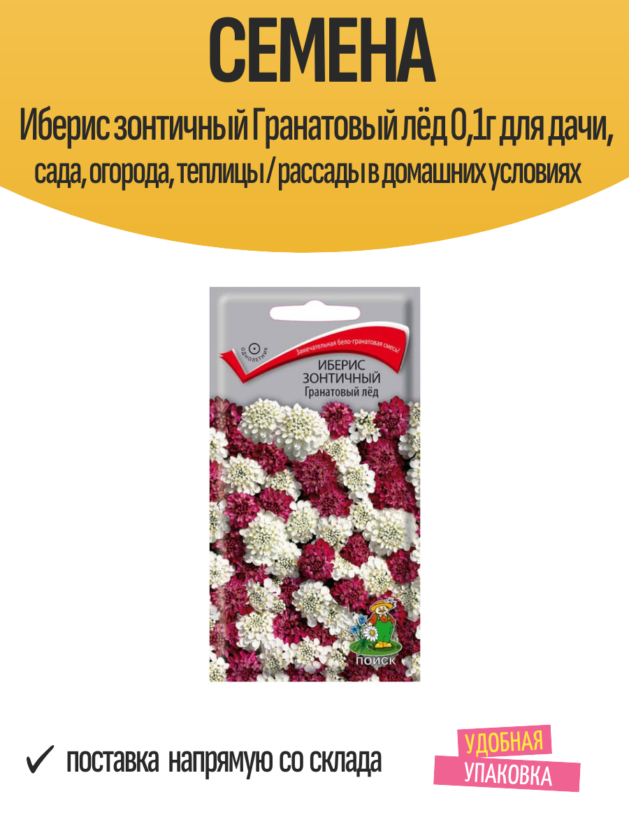 Семена Иберис зонтичный Гранатовый лёд 0,1г для дачи, сада, огорода, теплицы / рассады в домашних условиях