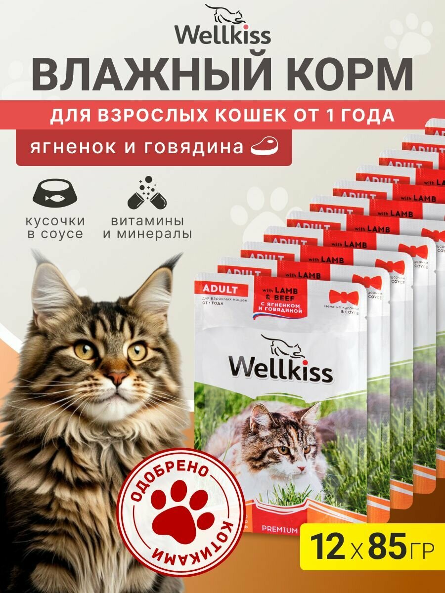 Wellkiss Adult Влажный корм (пауч) для взрослых кошек, с ягненком и говядиной в соусе, 85 гр. * 12 шт.