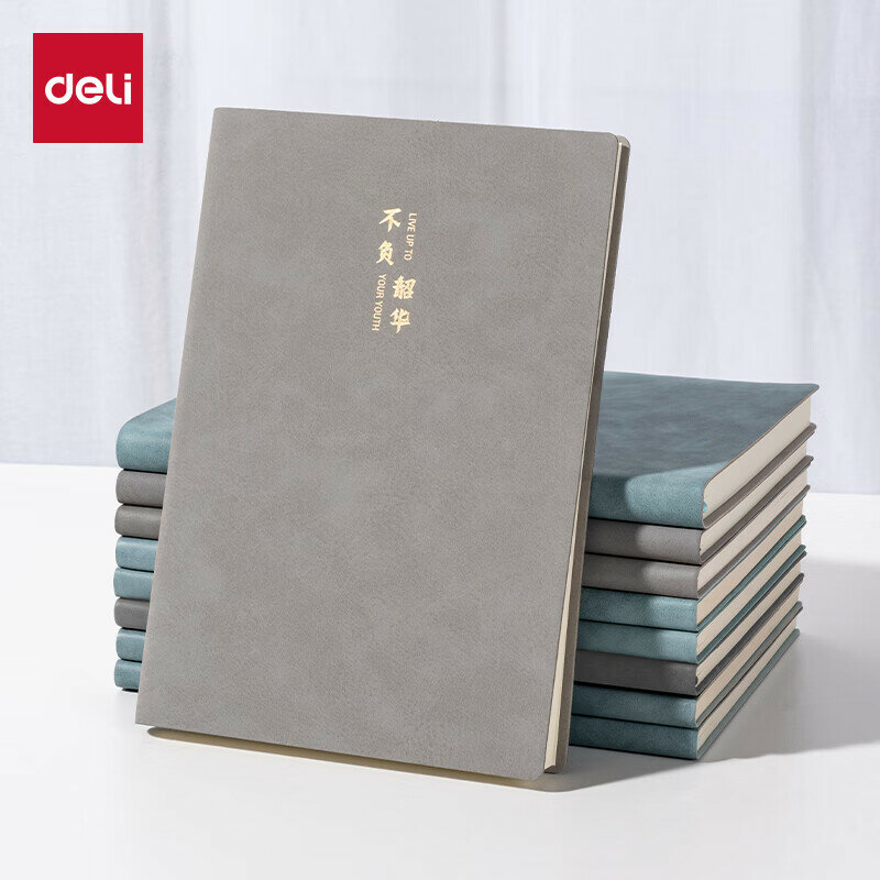 Deli A5 Lambskin Notebook, 120 Sheets, Business Office Leather Notebook, Thickened Work Notebook, Vintage Leather Notebook BP103 (Gray)