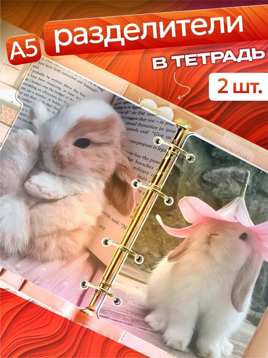 Разделители для тетради на кольцах Животные