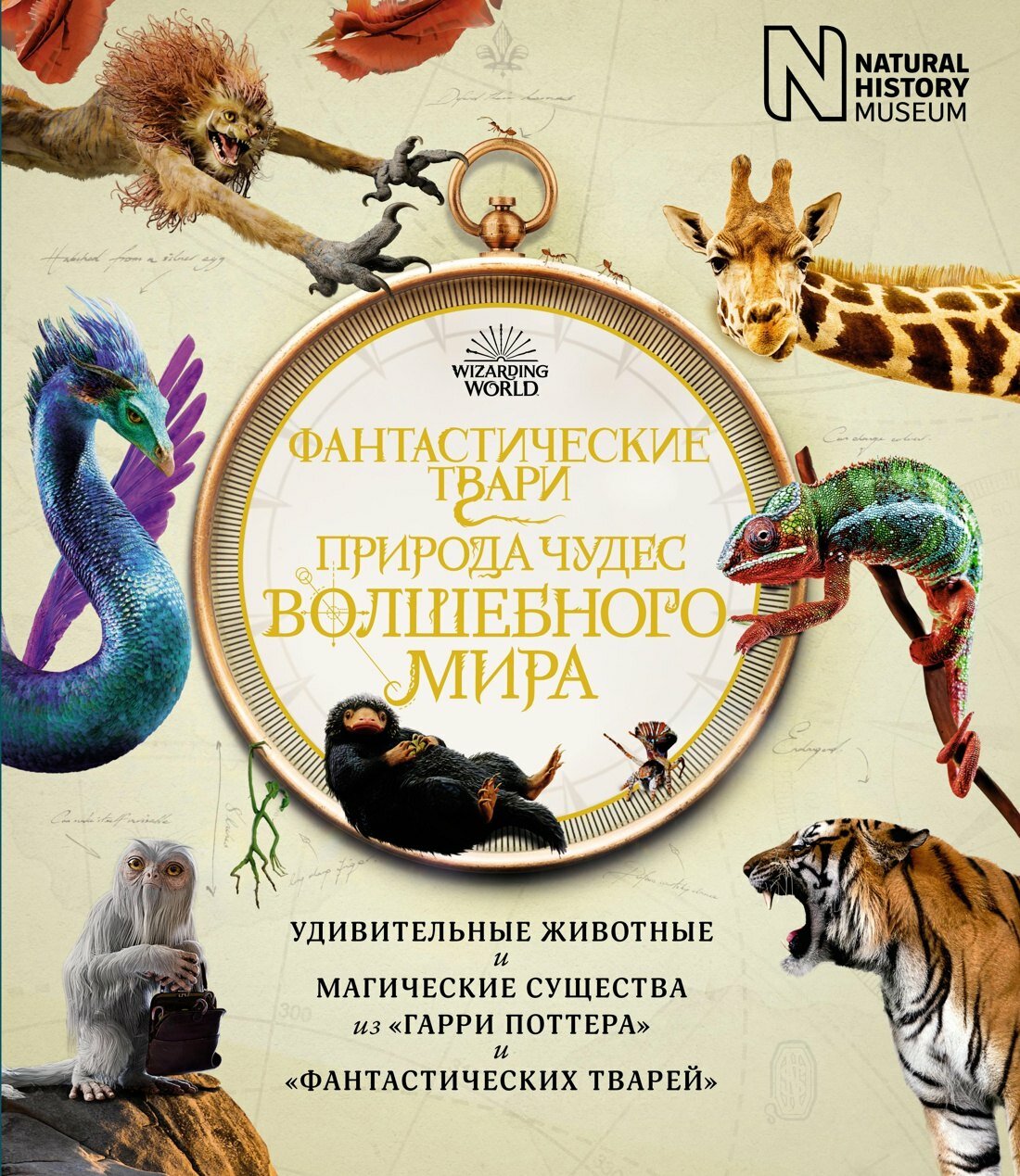 Книга: "Фантастические твари. Природа чудес волшебного мира" от Файнс Р, русский язык, Фантастика и фэнтези для детей