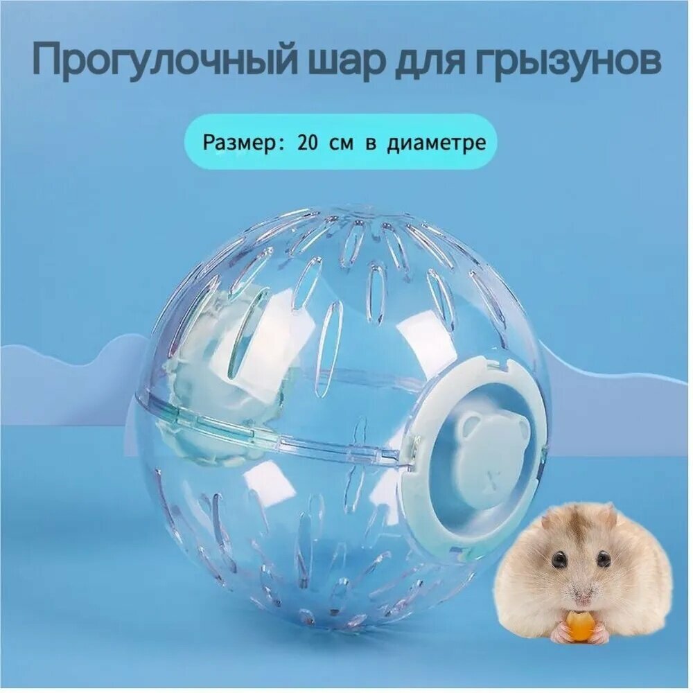 Прогулочный шар для грызунов и хомяков