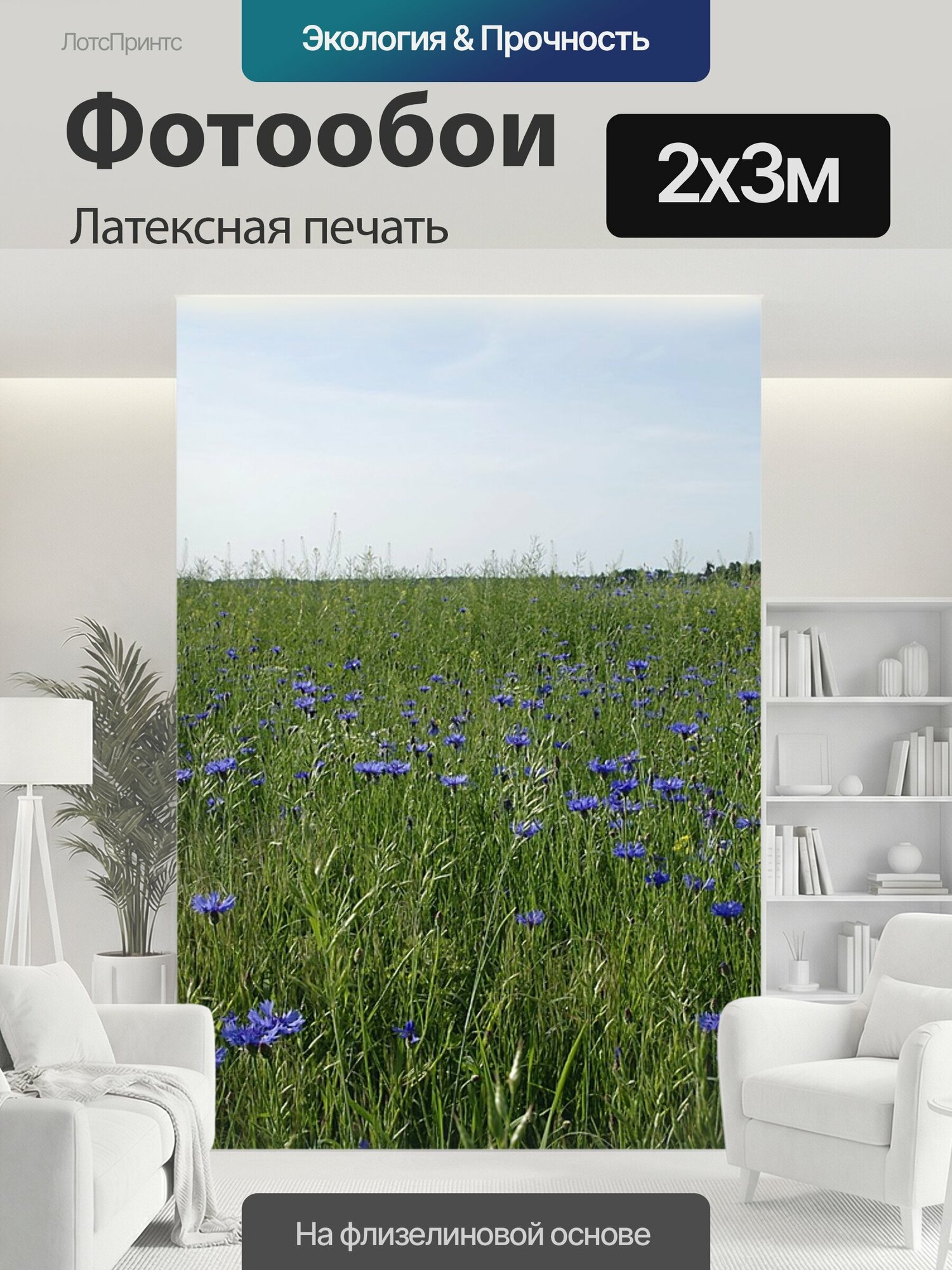 Фотообои моющиеся ударопрочные "Васильки, поле, луг" 200x300 см. латексная печать