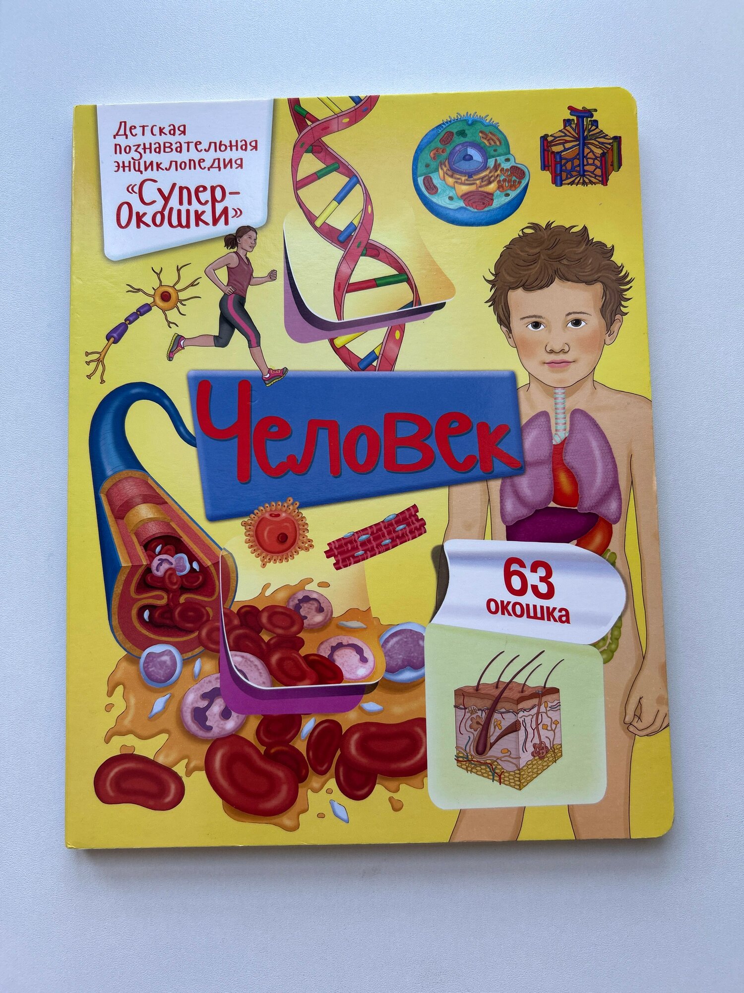 Книга "Человек. 63 окошка". Детская познавательная энциклопедия "Супер-окошки". Издание 2021 года (second-hand книга)