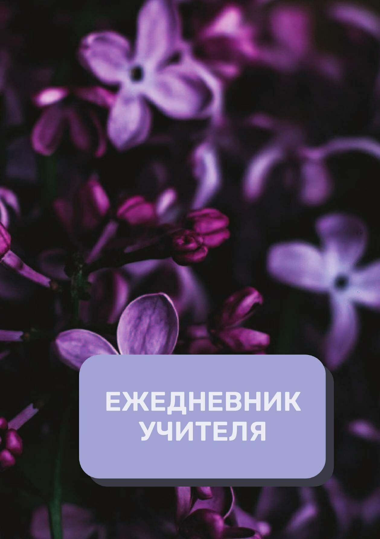 Дневник учителя