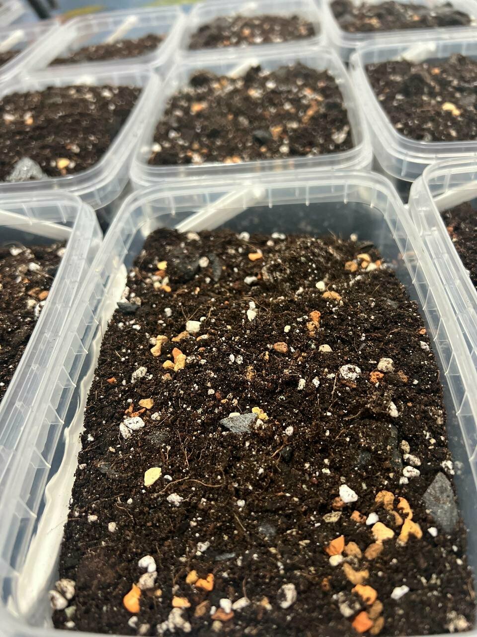 Грунт "Для ароидных", для комнатных растений, 2л подходит для таких цветов как монстеры , аглонем , филодендронов и других представителей вида