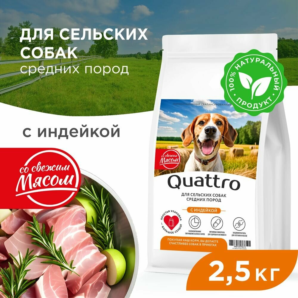 Корм сухой для взрослых собак средних пород, премиум полнорационный комплекс, для живущих в сельской местности, с индейкой, 2,5 кг, QUATTRO