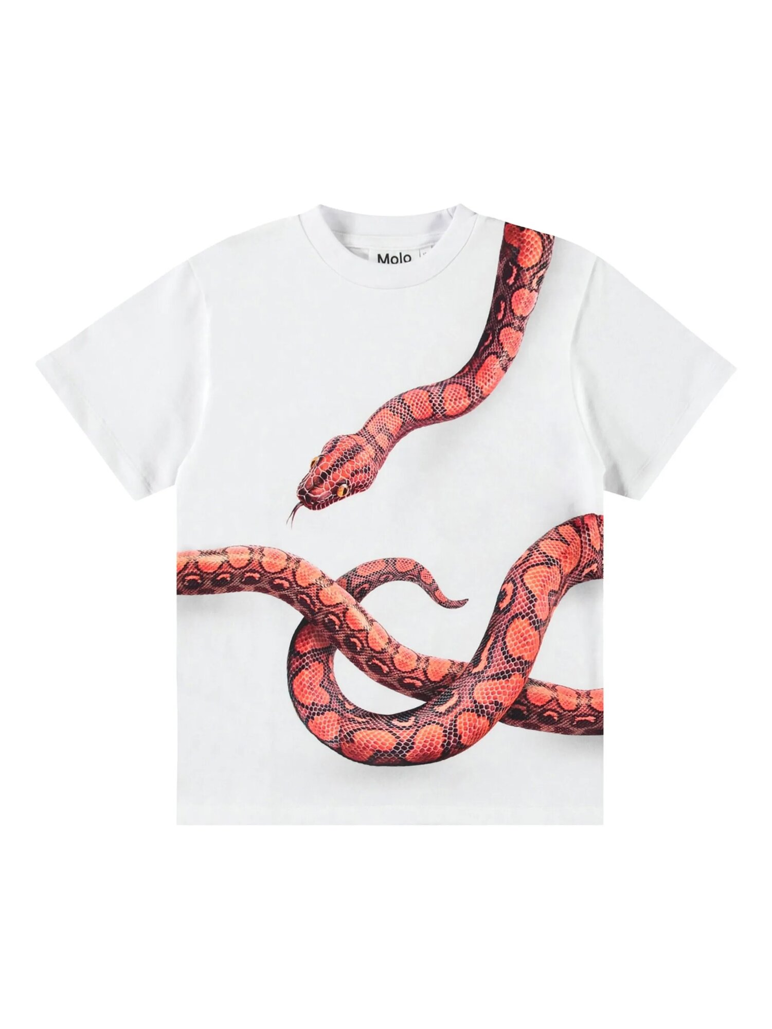 Футболка Molo Rubin