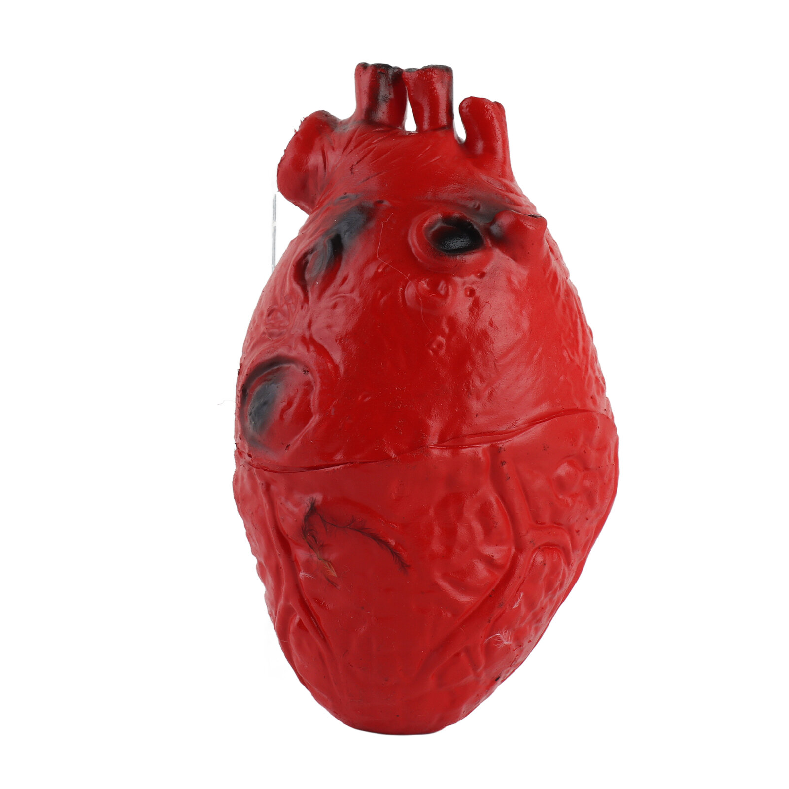 Фальшивый человеческий сердце латекс жизни кровавый размер кровавый бортейль ужасов для Хэллоуина