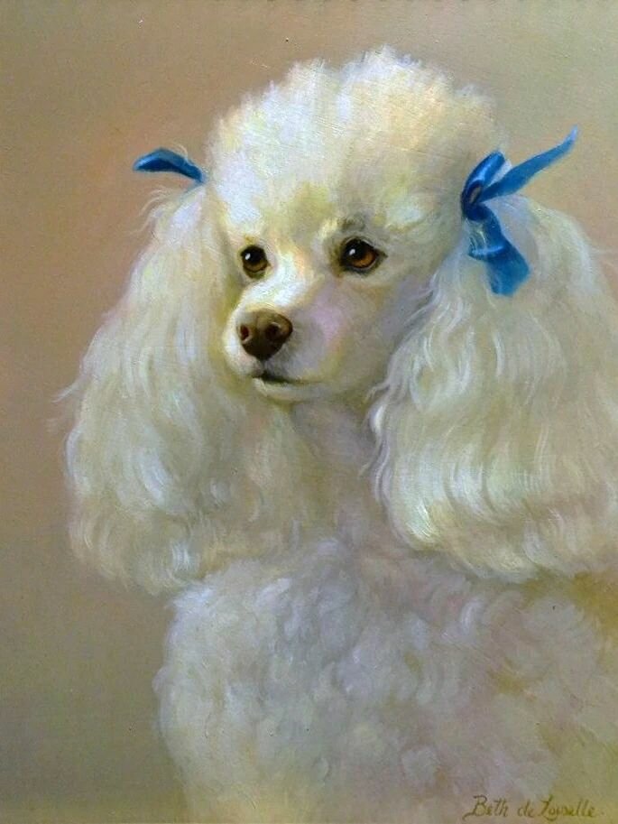 Алмазная картина "французский пудель" алмазная огранка 40х50 см,40X50CM, белый