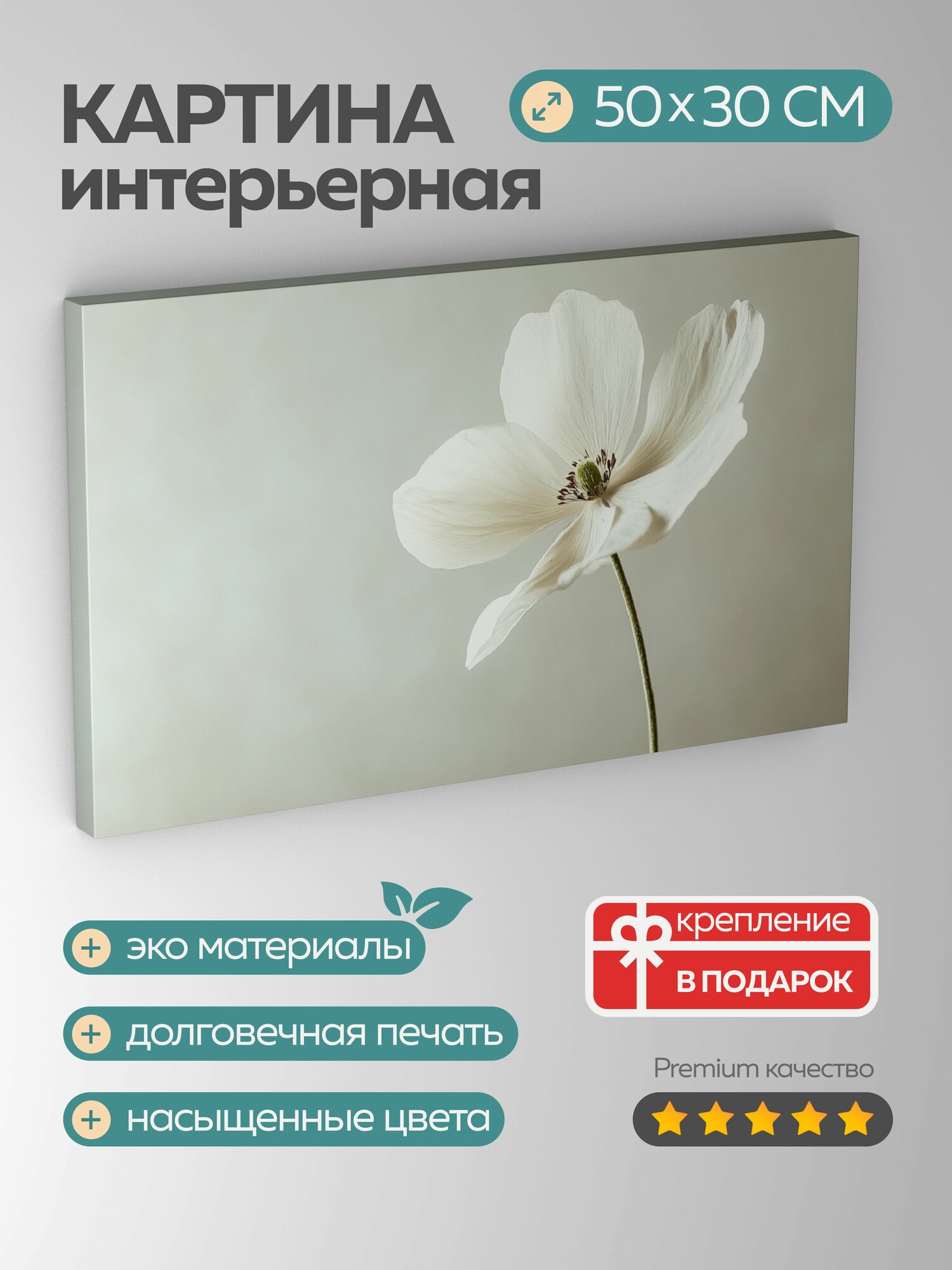 Картина на холсте интерьерная 50х30 см, нежный цветок, элегантная композиция, минимализм, простой фон, красота простоты