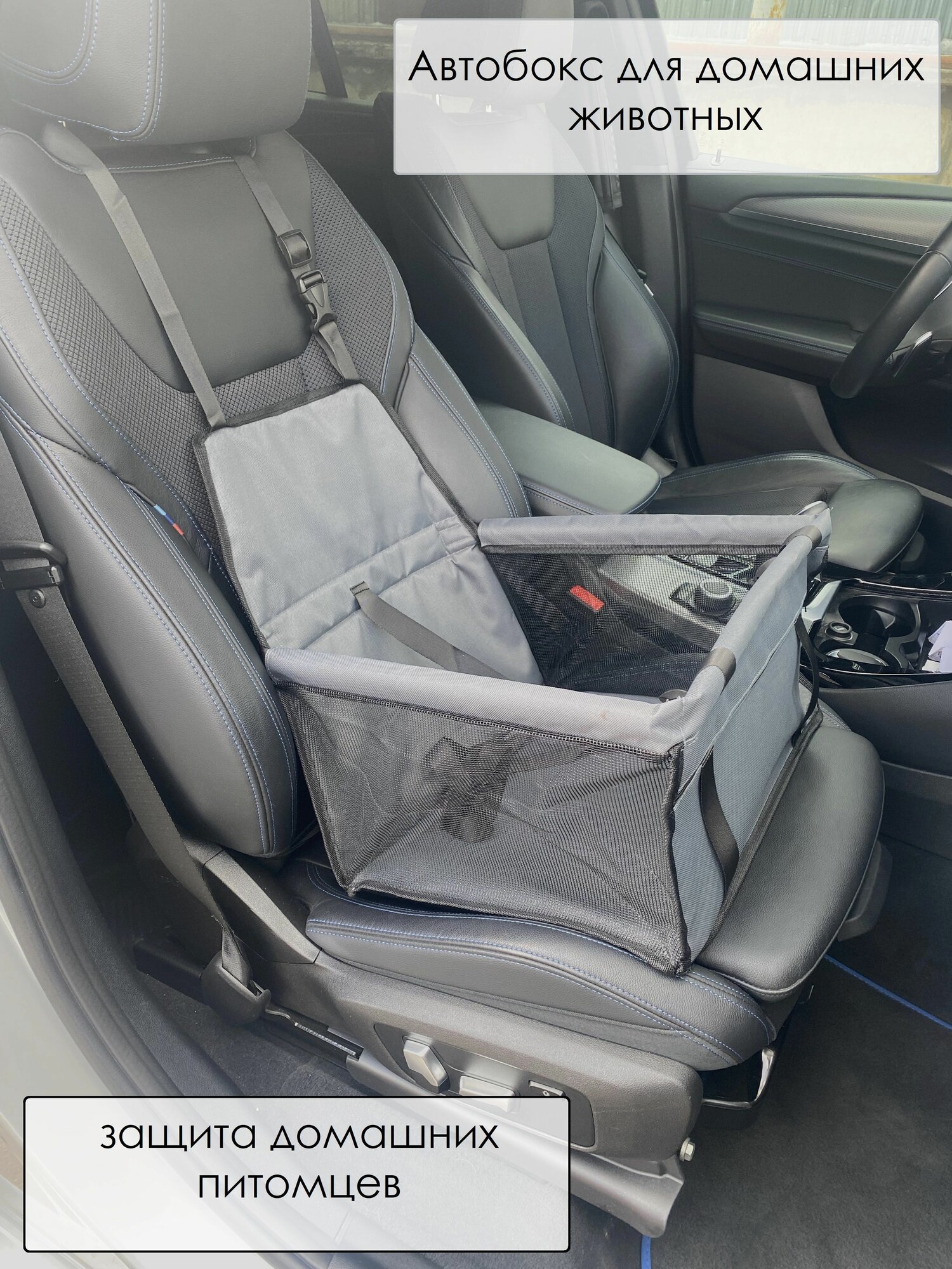 Автобокс для домашних животных