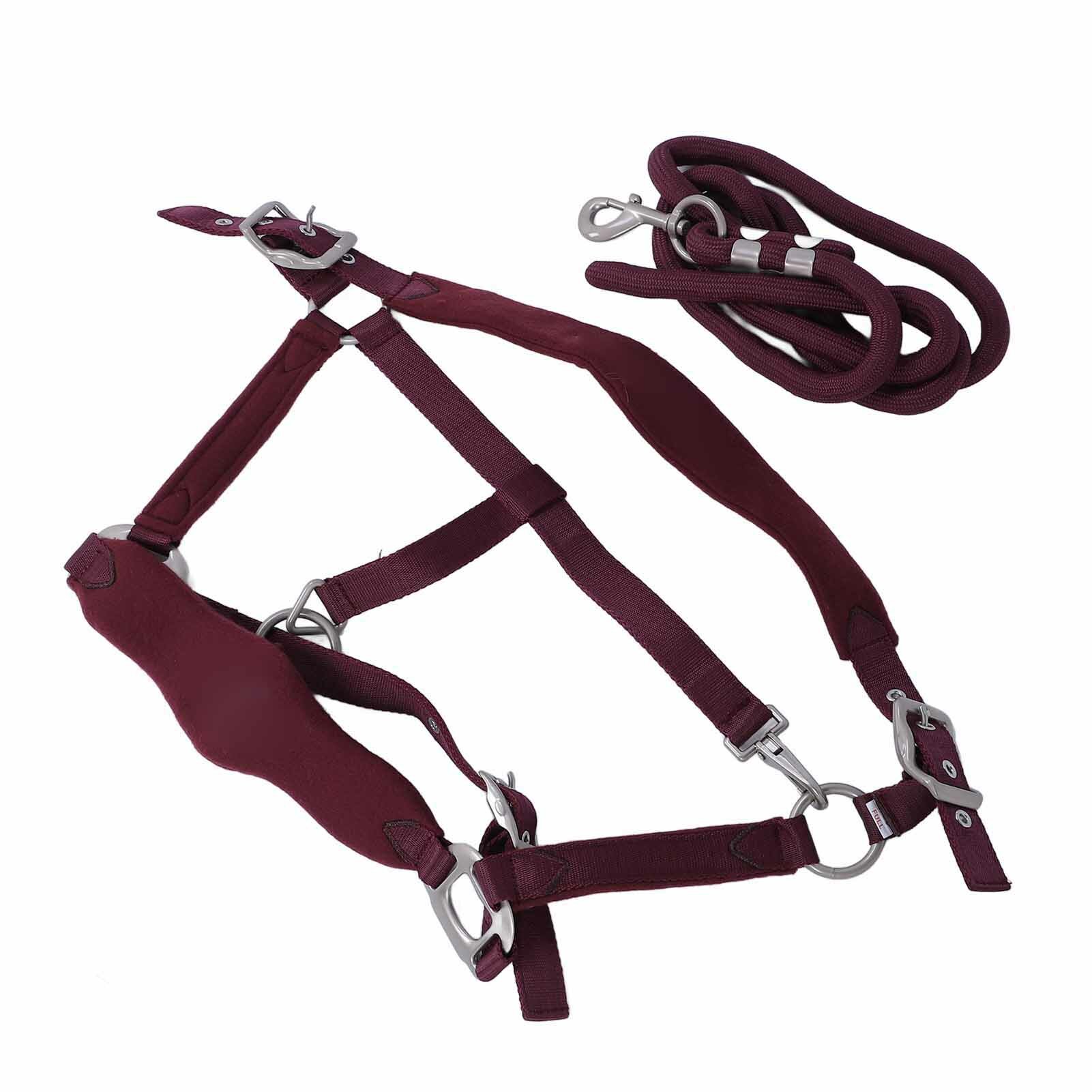 Набор для лошадиных поводков, предотвращающий натирание, регулируемый поводок для обучения лошадей с 2-метровым поводком для ежедневной дрессировки, винно-красный, M