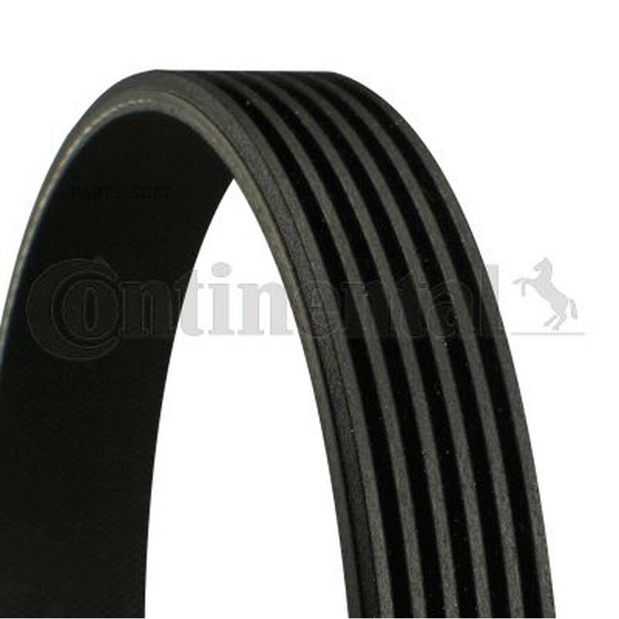 6PK1080 CONTINENTAL CT-6PK1080_ремень поликлиновой Audi A4 1.6-2.0 01> RVI Magnum